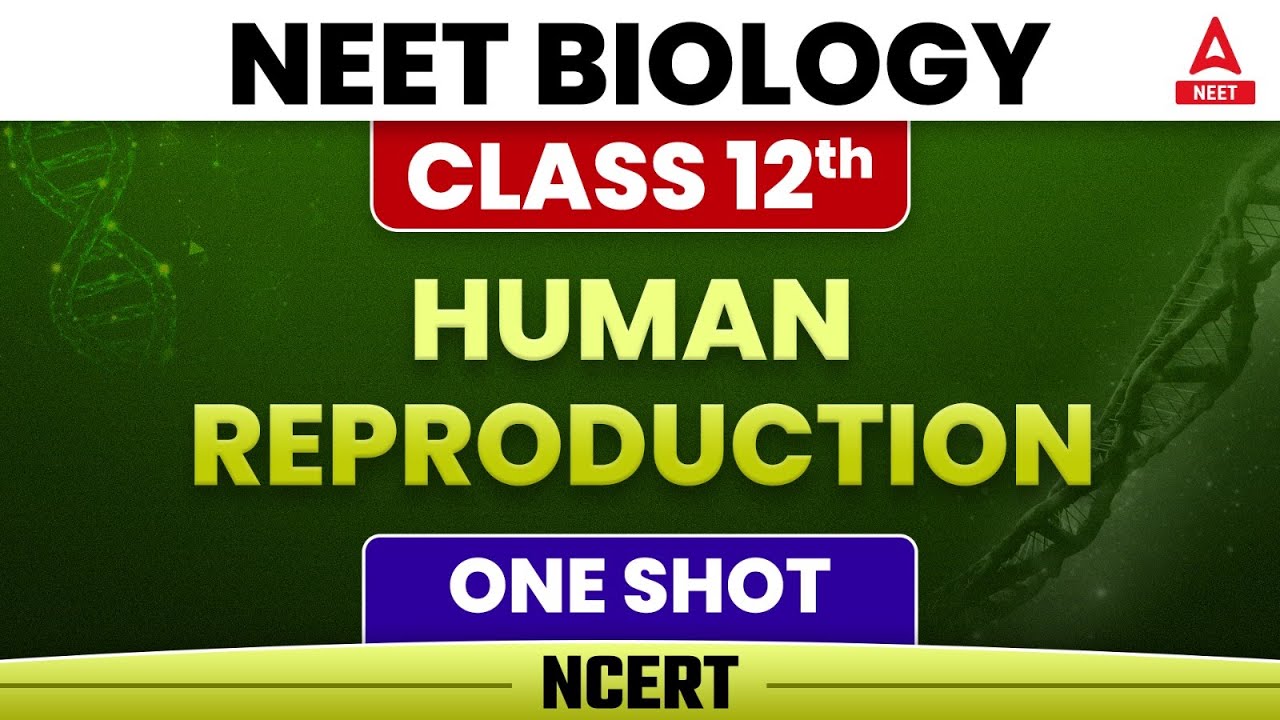 Human Reproduction | Human Reproduction in One Shot | Human ...