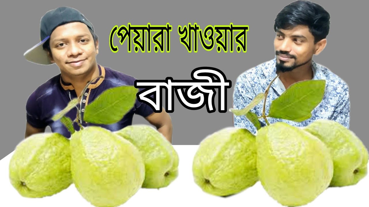 পেয়ারা খাওয়ার বাজী Guava Eating Competition Guava Challenge Brothers ...