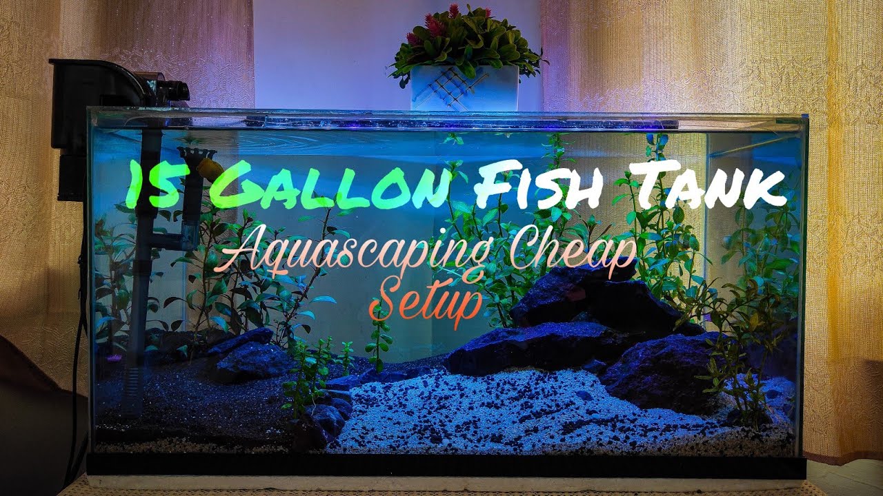 15 Gallons Fish tank setup - YouTube