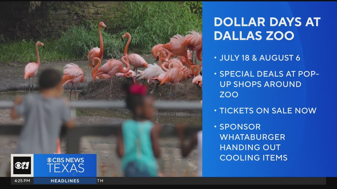 Dollar Days at the Dallas Zoo return July 18 - YouTube