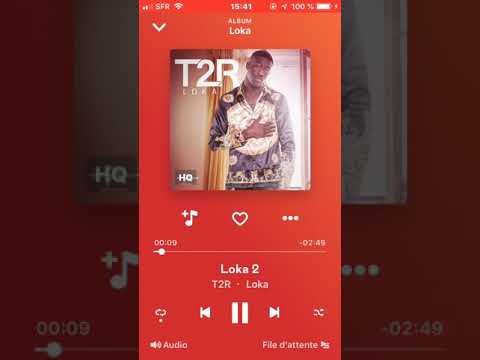 T2r -Loka 2