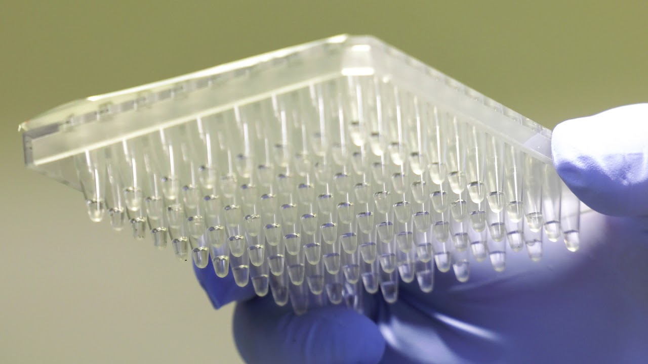 Automated Droplet Generator (AutoDG) Workflow Tips for Success - YouTube