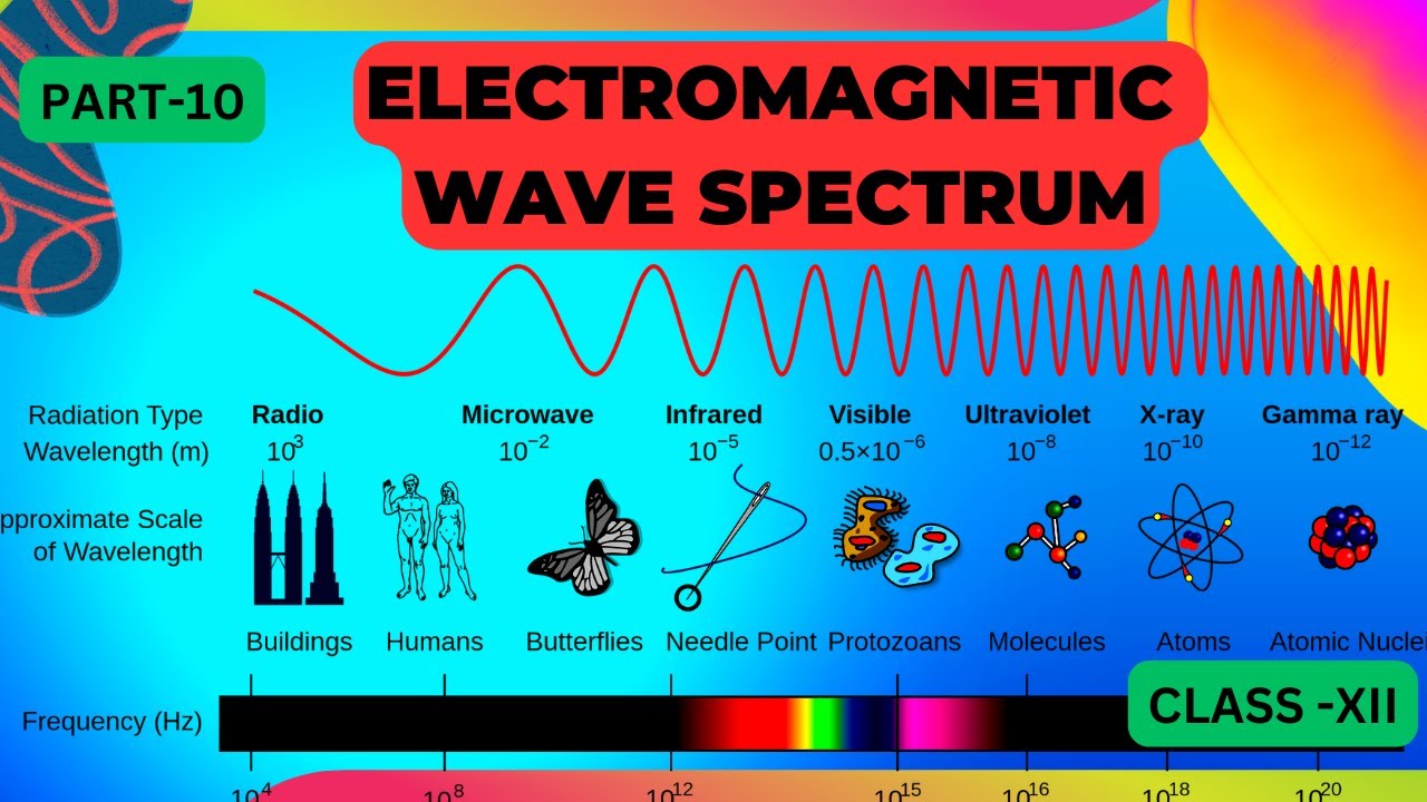 Electromagnetic wave Spectrum | Class 12 Physics in hindi - YouTube