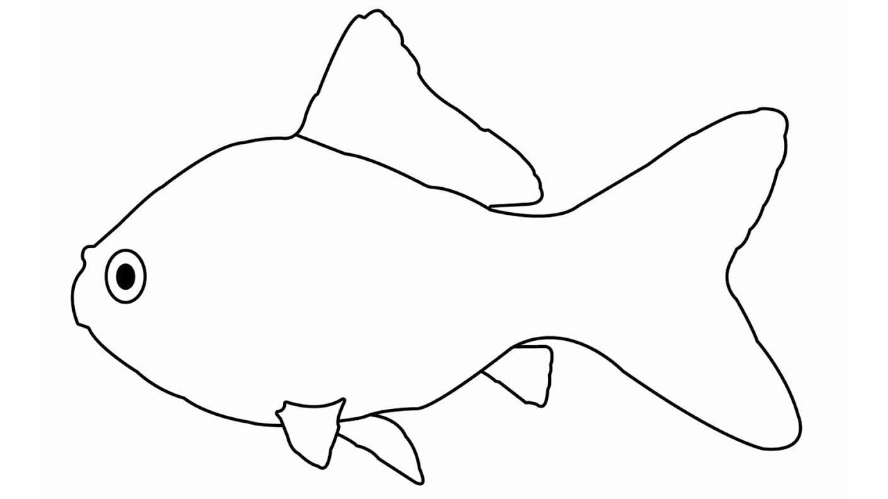 HOW TO DRAW A FISH EASILY AND SIMPLY / DRAWING TRAINING - YouTube