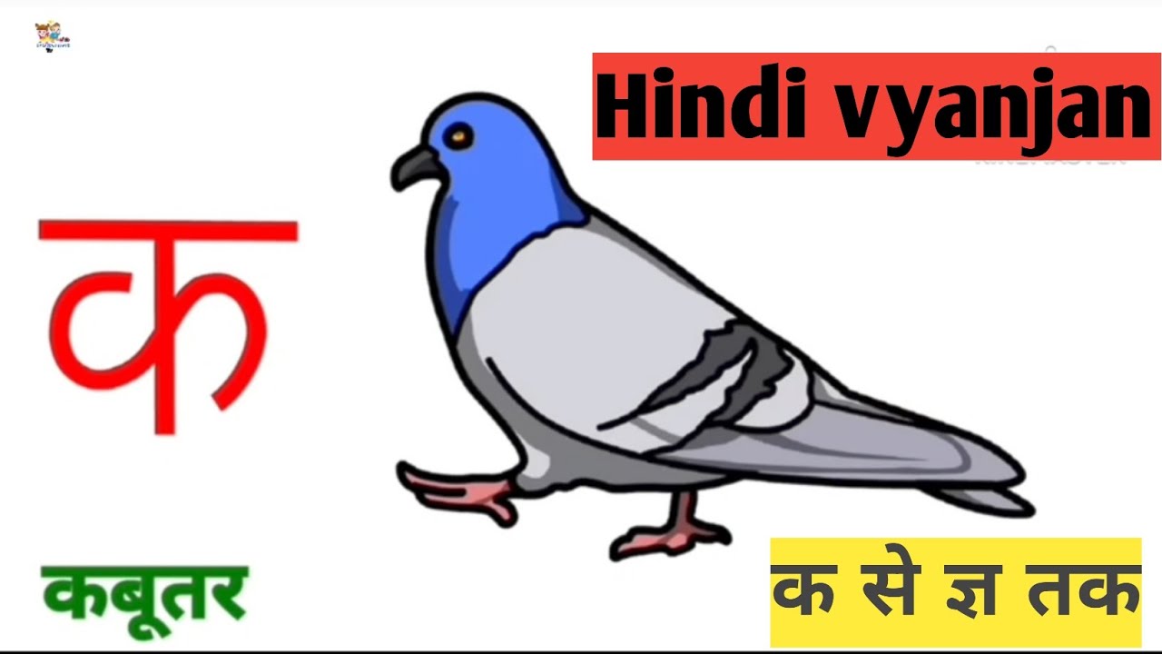 Hindi Vyanjan with Live Examples | क से कबूतर |hindi varanmala ...