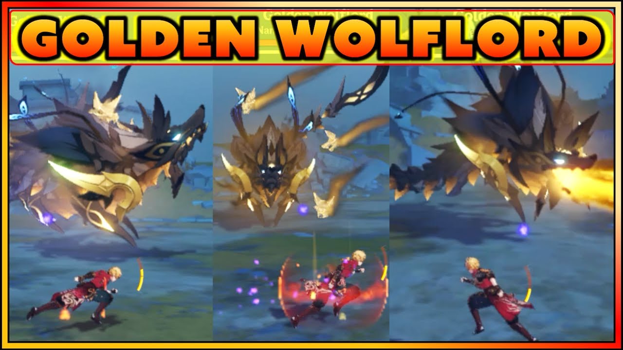 Golden Wolflord - First Time Fighting - Genshin Impact - YouTube