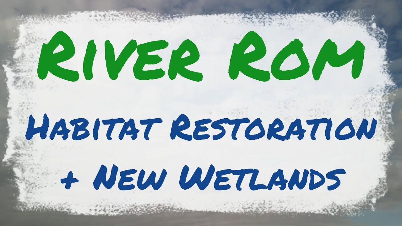 River Rom: Habitat Restoration + New Wetlands - YouTube