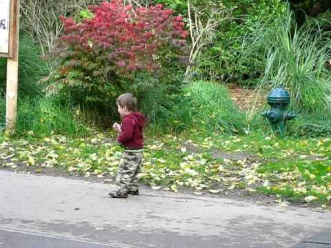 poking people with a stick - YouTube