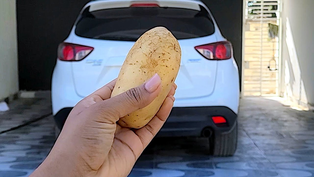 This Potato Trick Could Save Your Life—And Nobody Knows About It! - YouTube