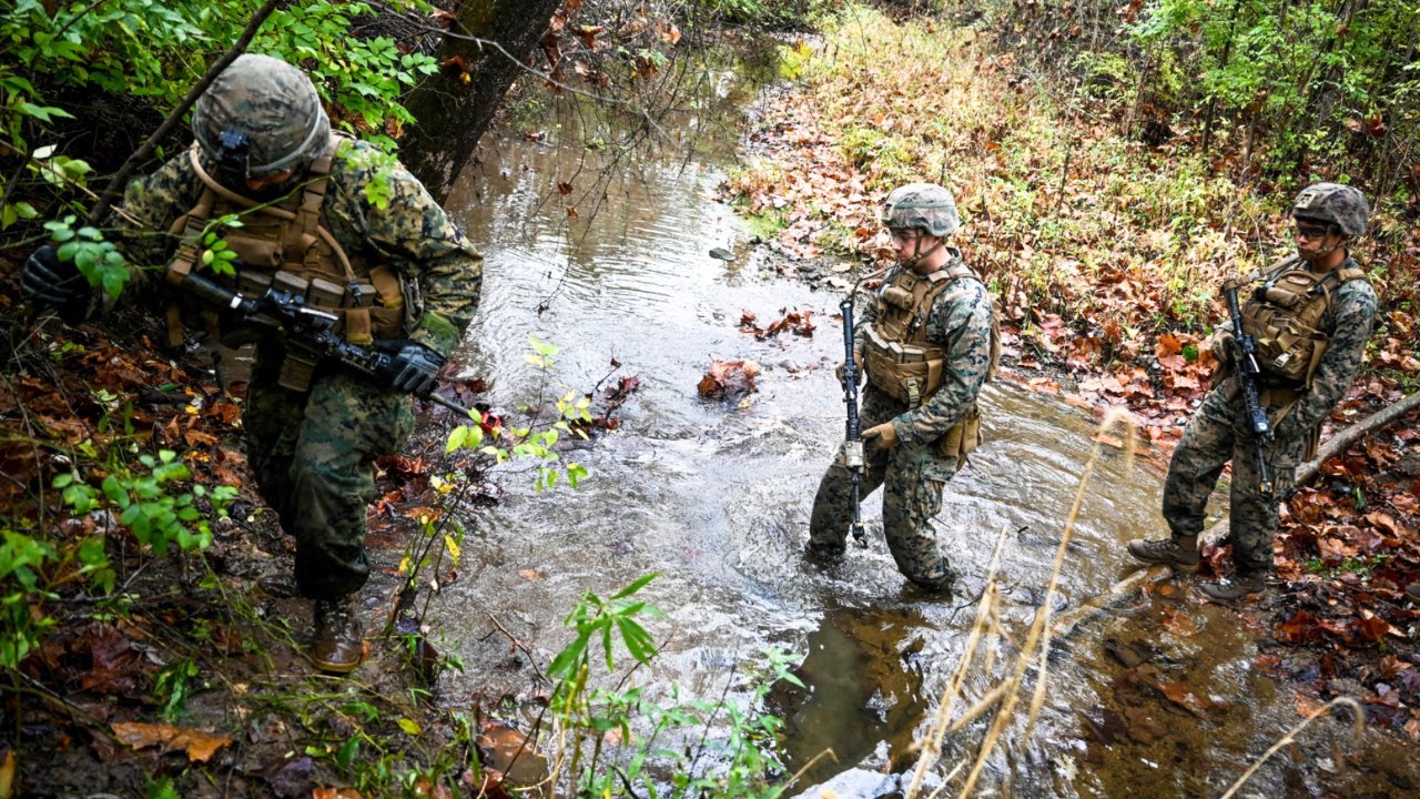 Marines Mission Patrol - Exercise Bold Quest 20.2 | MFA - YouTube