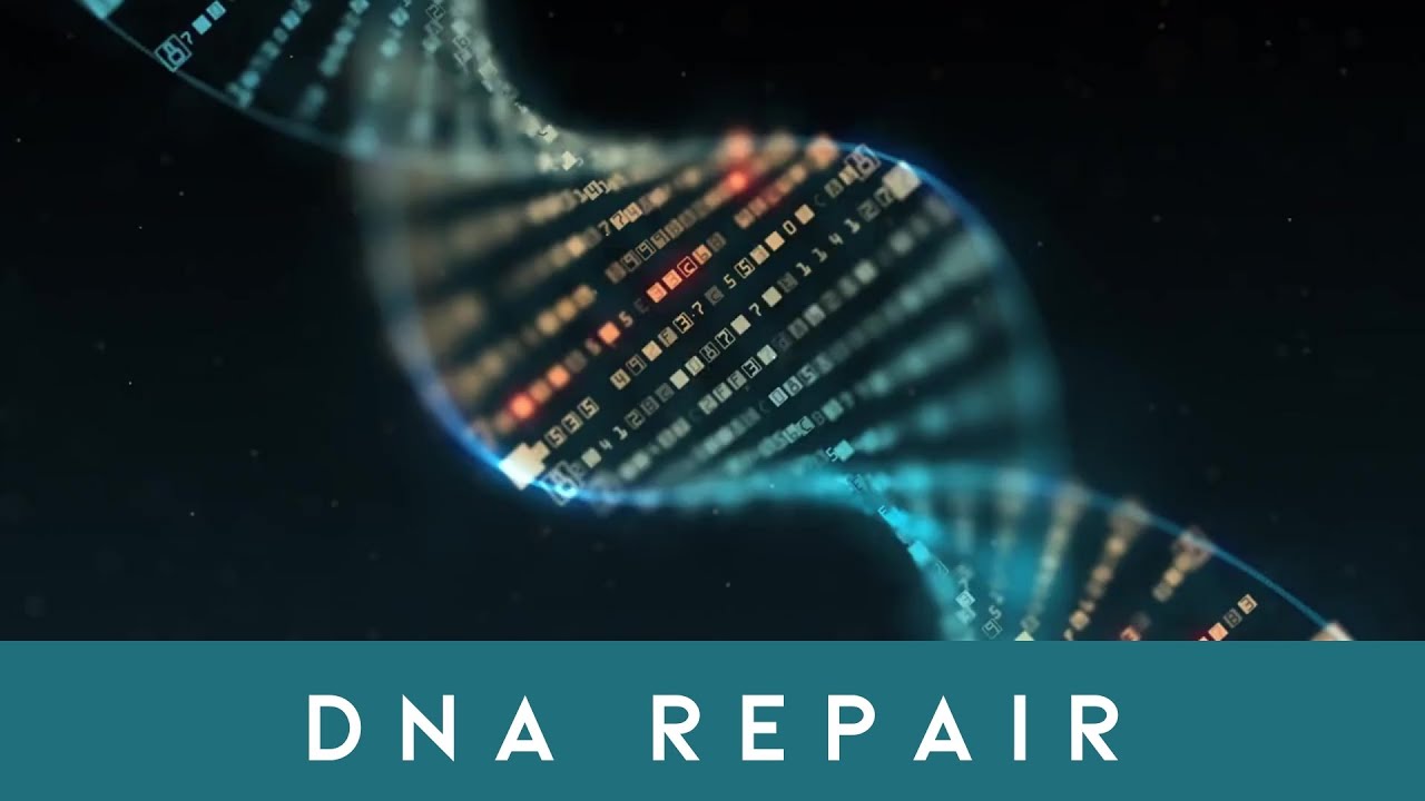DNA REPAIR MEDITATION ~ self care, healing, visualization, intelligent ...