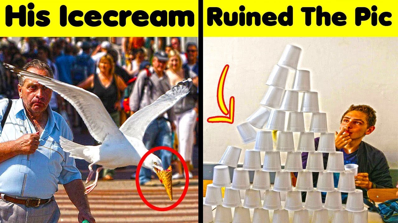 People Who Took The Most Perfectly Timed Photos (Part 4!) - YouTube