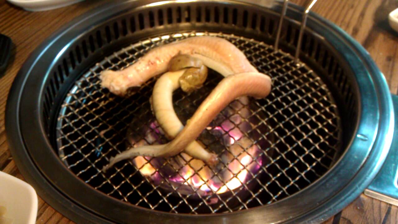 Sea food, Hagfish - YouTube