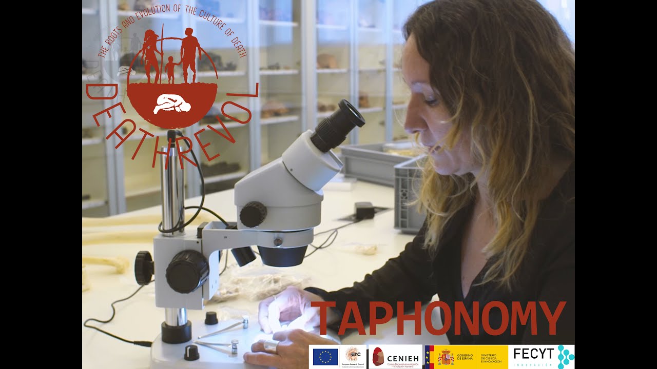 What is taphonomy? - YouTube