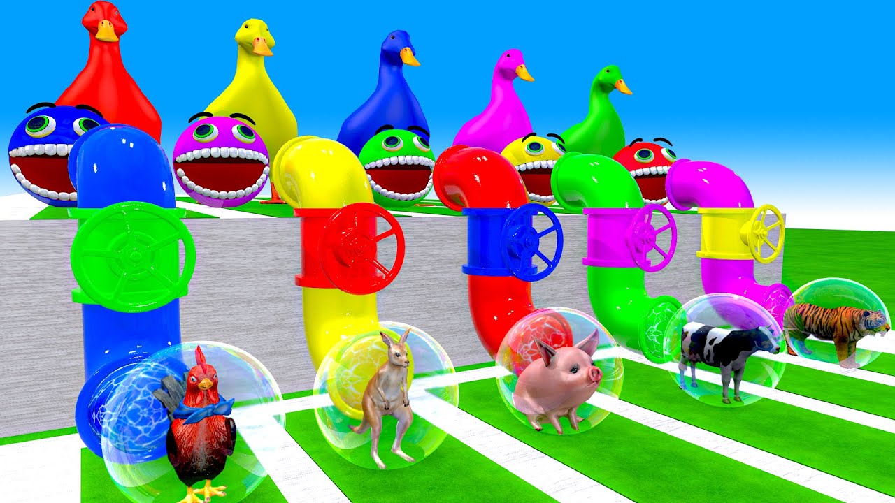 5 Giant Ducks | Pig, Simba Lion, Tortoise, Elephant, Go into Pacman's ...