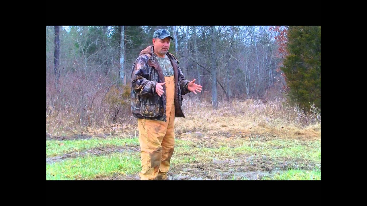 Baiting Wild Hogs pt.2 - YouTube