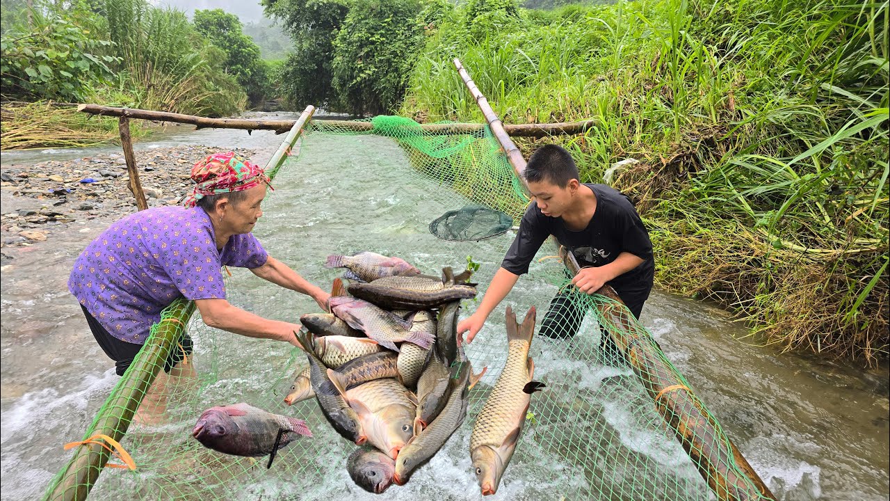 The orphan boy, the old woman arranged rocks to block the stream to ...