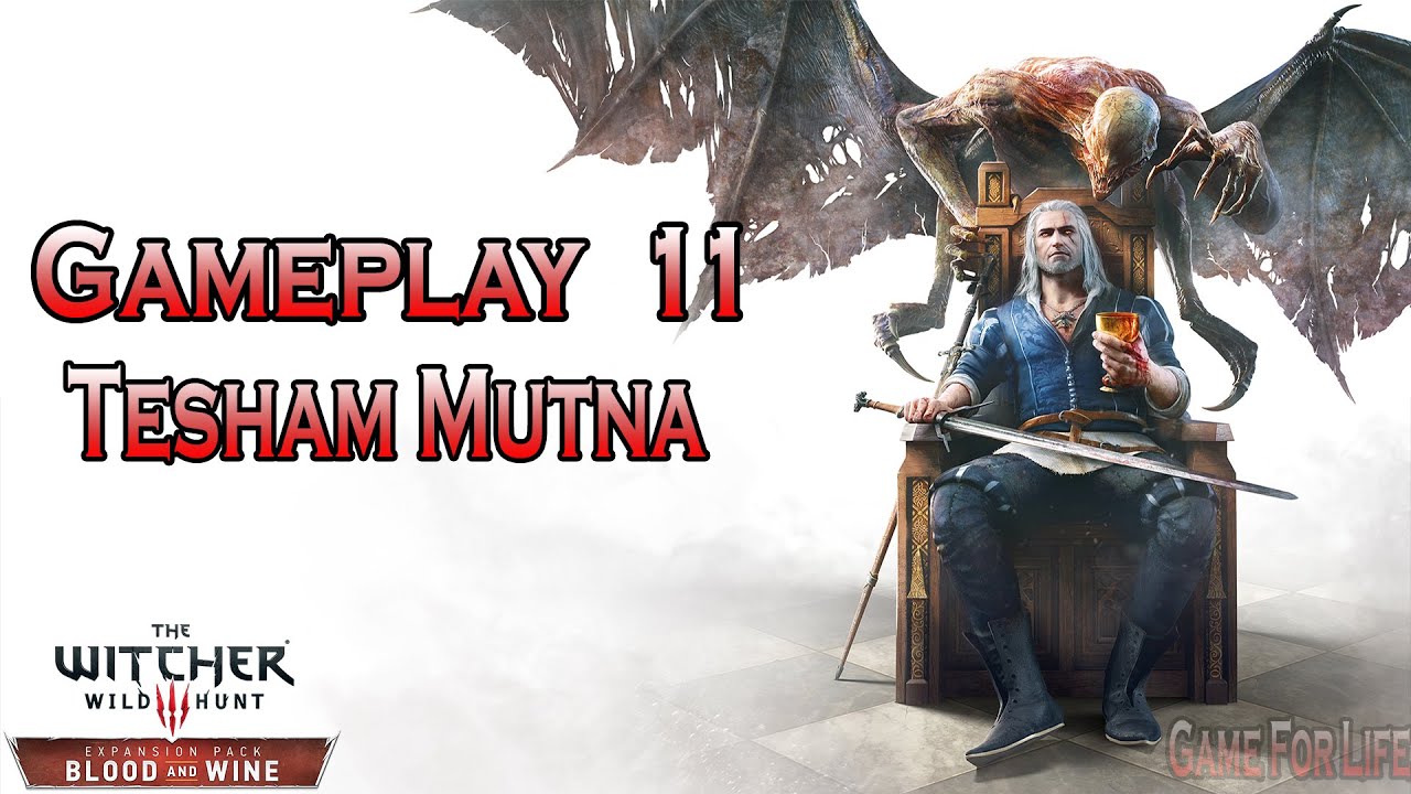 The Witcher 3: Blood And Wine - Gameplay 11 ITA [1080p HD] - Tesham ...