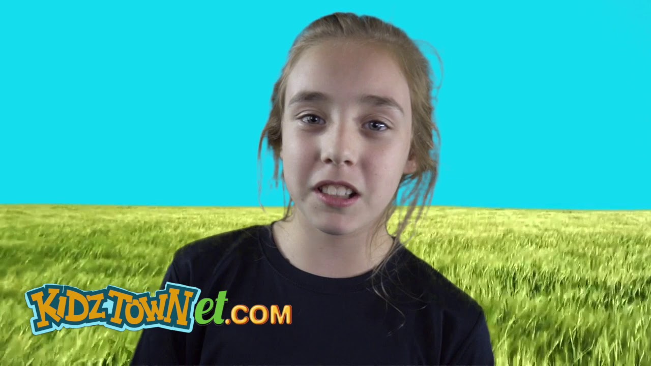 BUGS_SERIES_INTRO - YouTube