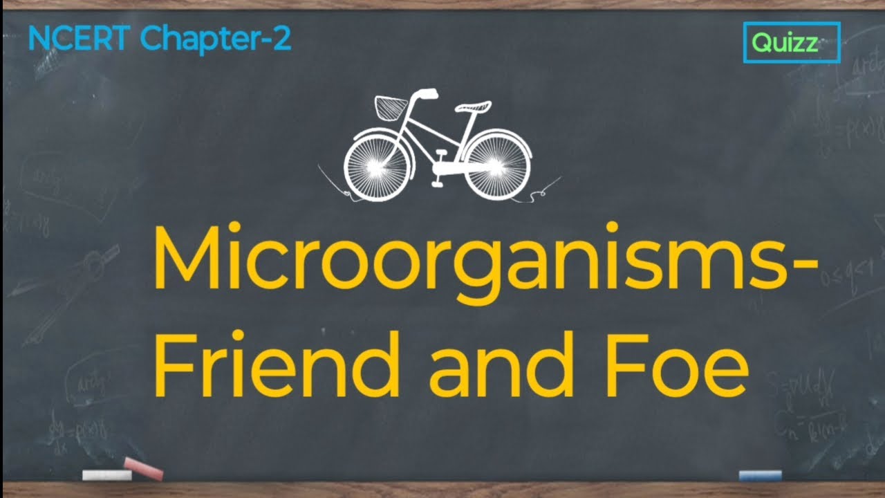 Microorganisms-Friend and Foe(some important mcqs questions) class 8 # ...