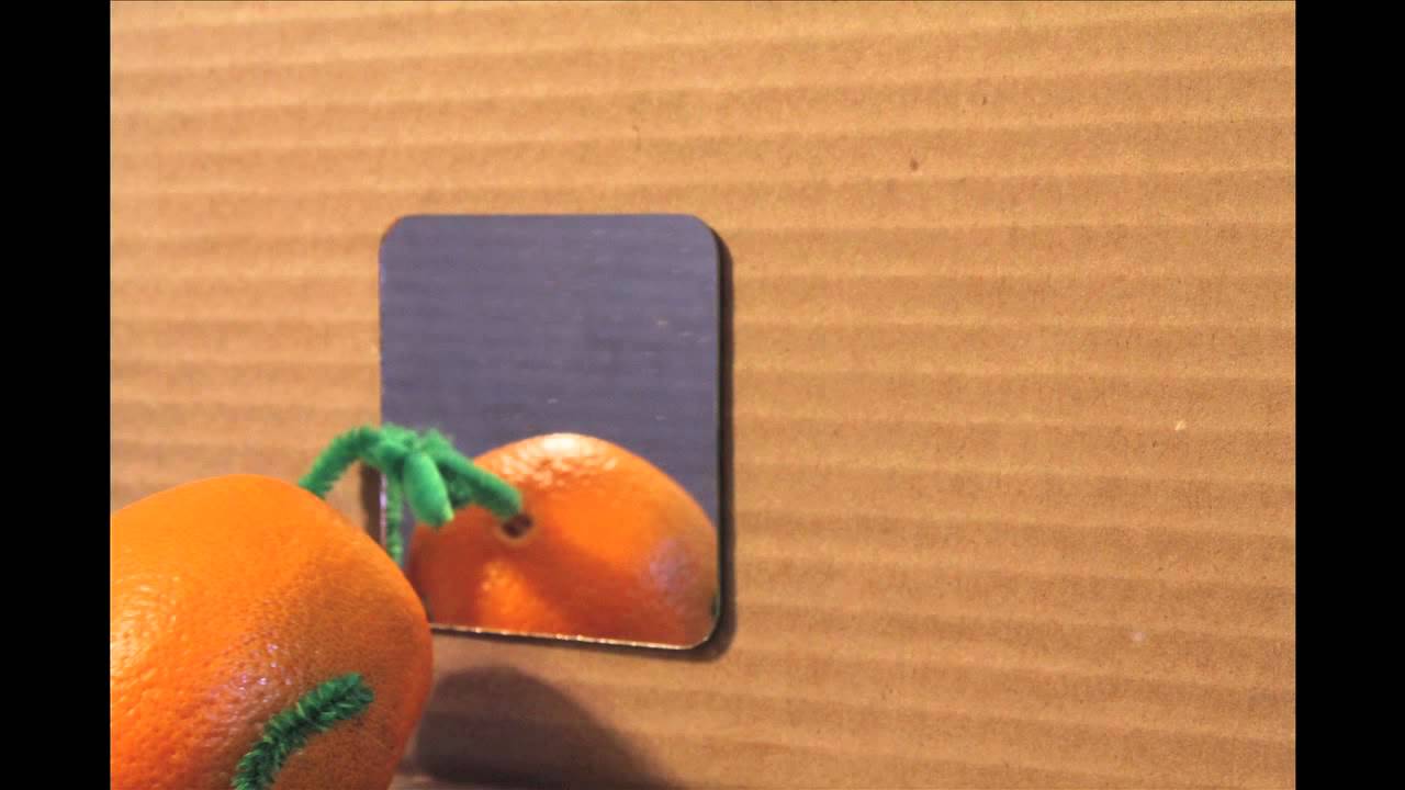 Stop Motion Orange - YouTube