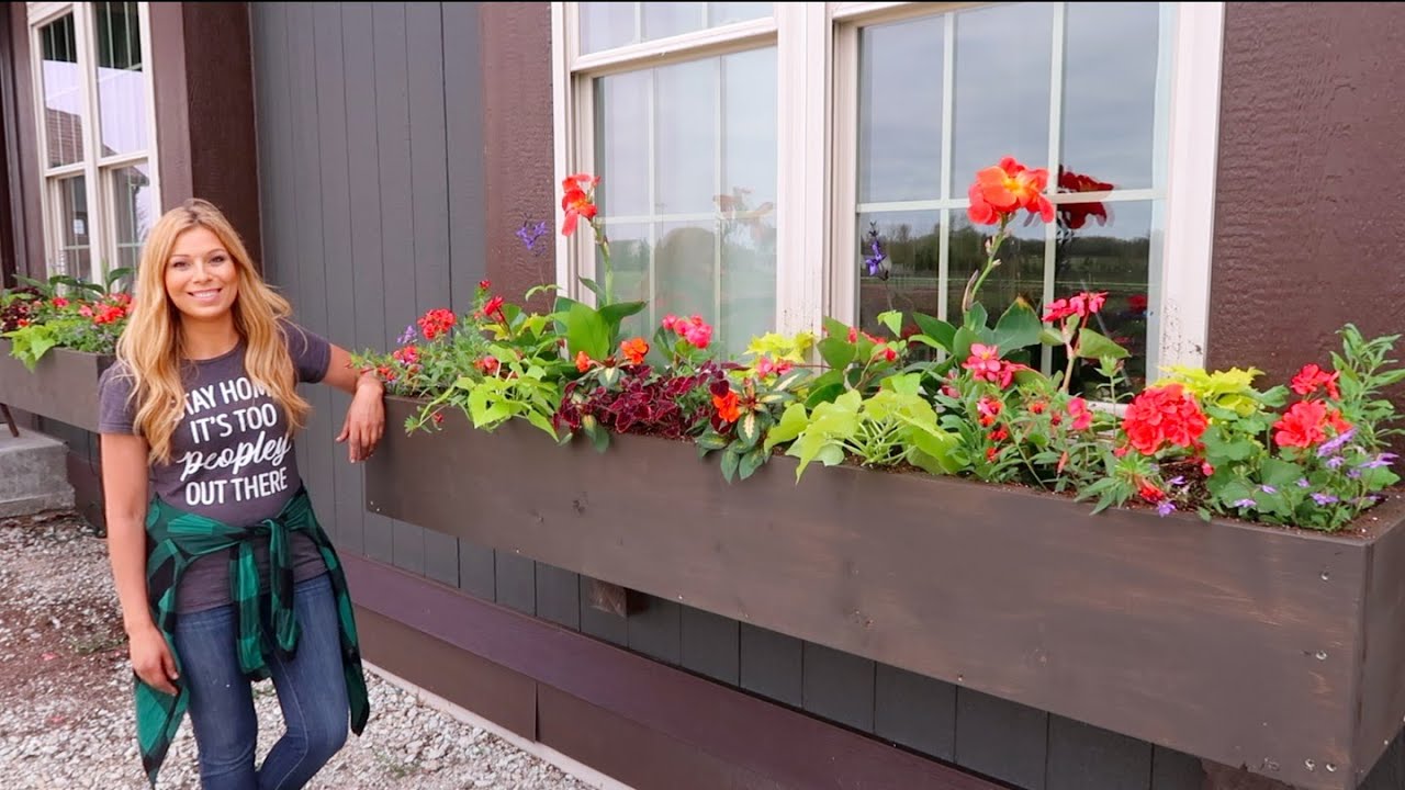 Our NEW, VIBRANT Window Box Recipe for 2020 | Container Gardening ...