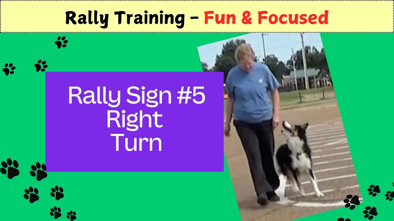 Heeling Tips & Tricks #56 Rally Sign 5 Right Turns - Teaching ...