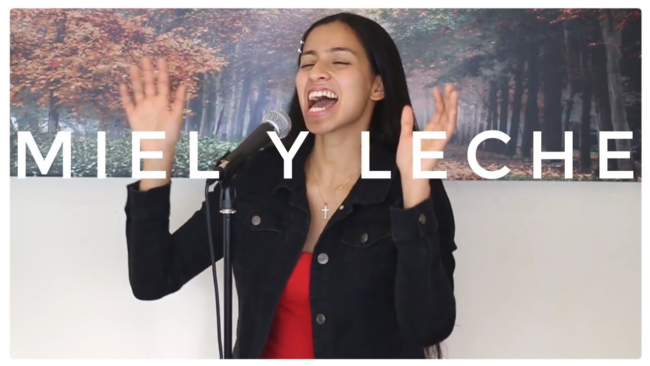 Milk and Honey in SPANISH by Crowder (Cover en ESPAÑOL) - YouTube