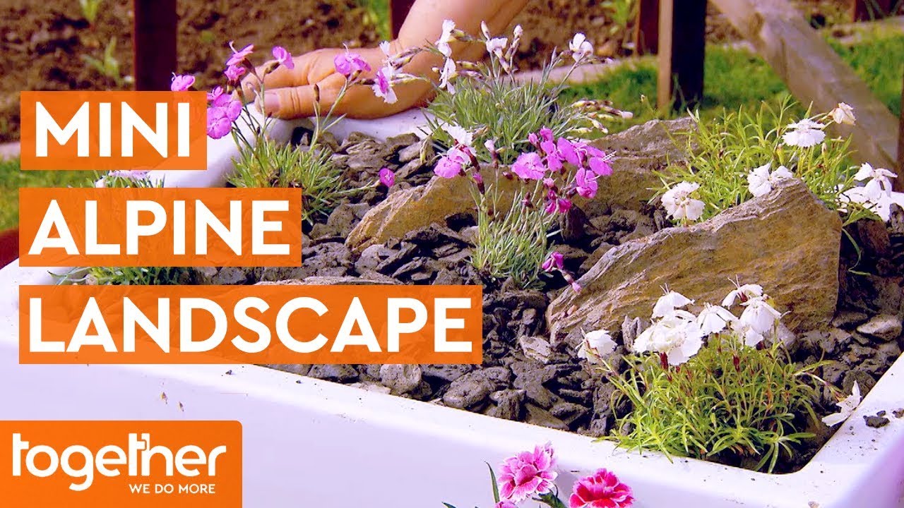 Create Your Own Mini Alpine Inspired Landscape | The Great British ...