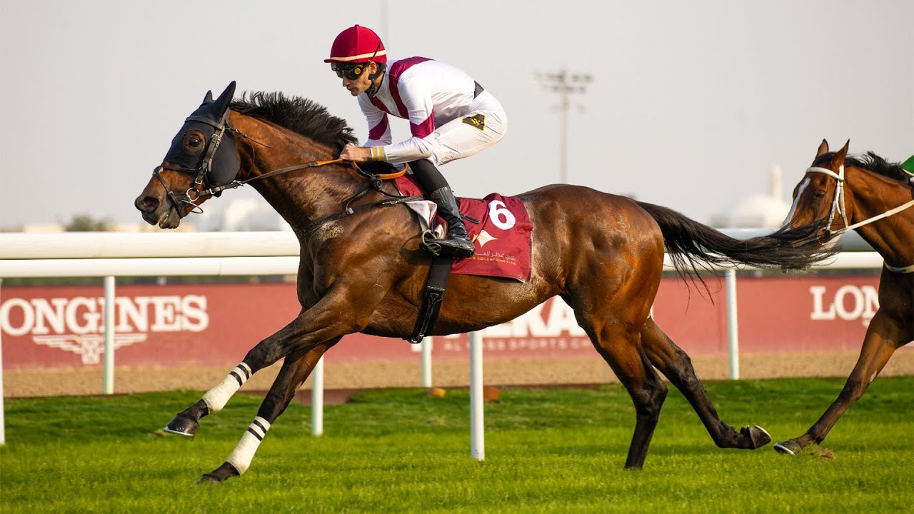 RM 21 Al Rayyan Race 1 - Al Kharrara Cup - YouTube
