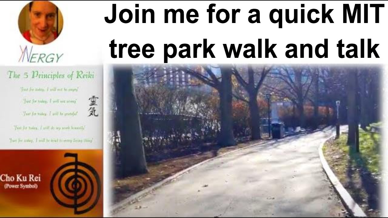 Join me for a quick MIT tree park walk and talk 🌳 - YouTube