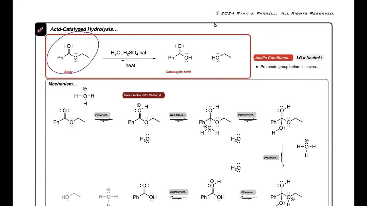 CADs: Ester Acid-Hydrolysis and Fischer Esterification Mechanisms – Breaking Down Their ...