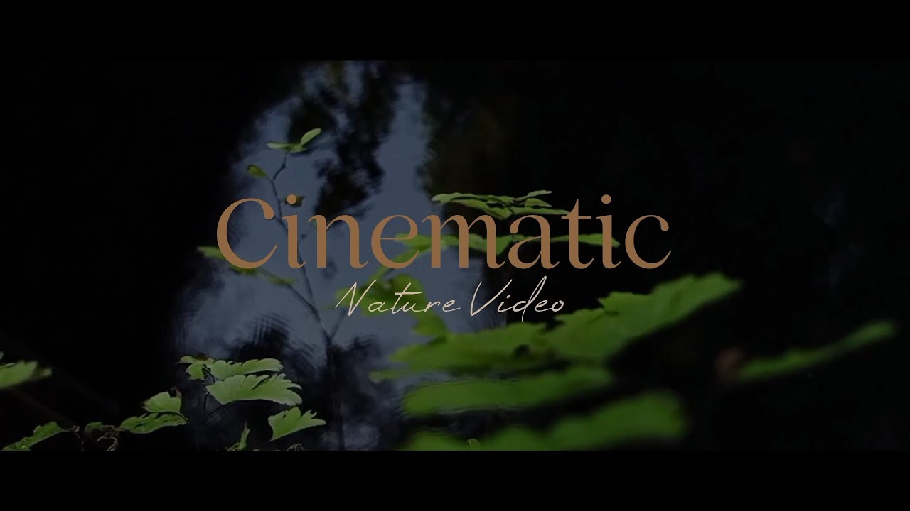 Cinematic Nature Video | Shot On Realme | Relaxing Nature Video - YouTube