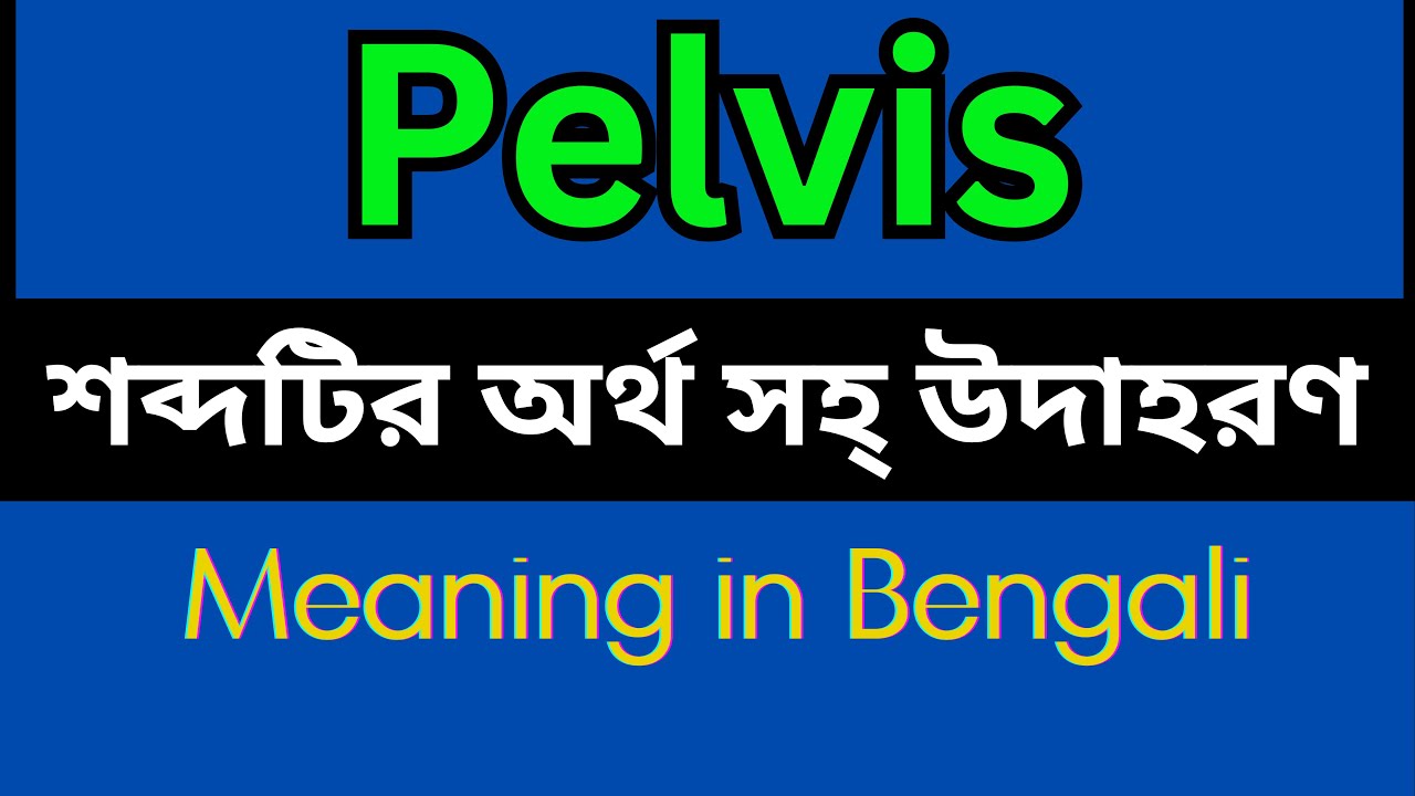 Pelvis Meaning In Bengali /Pelvis mane ki - YouTube