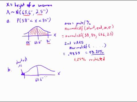 Normal Distribution Application Using TI-83 Calculator.mp4 - YouTube