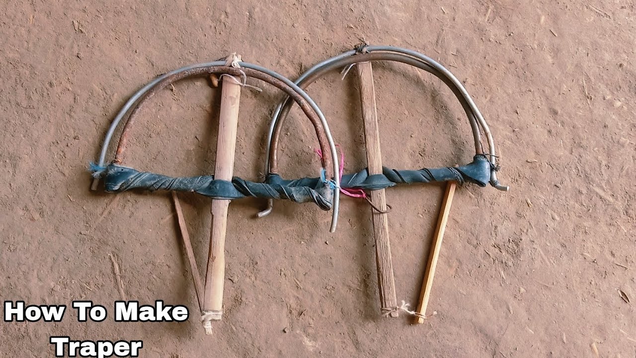 How To Make Traper Creative Best Trap Make Video| Hunt Birds Tv - YouTube