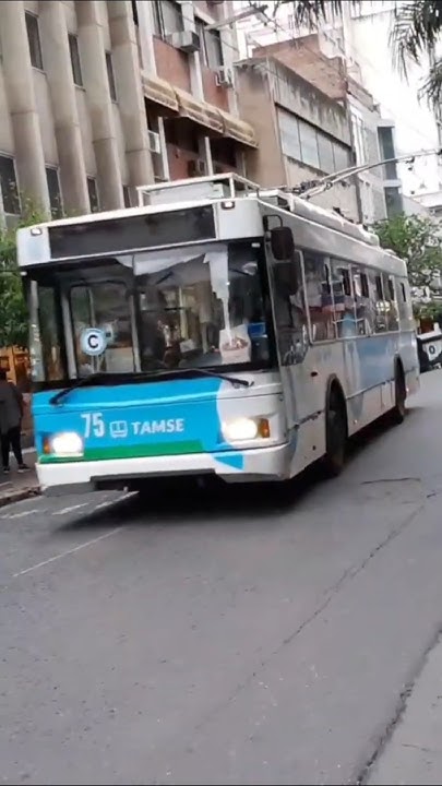 TAMSE Int 75 Trolebus Trolza Optima 5275-03 - YouTube