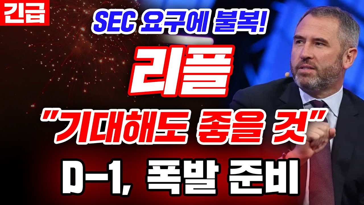 긴급 Sec 요구에 불복 리플 기대해도 좋을 것 D 1 폭발 준비 리플 리플전망 리플코인 리플코인전망 리플급등