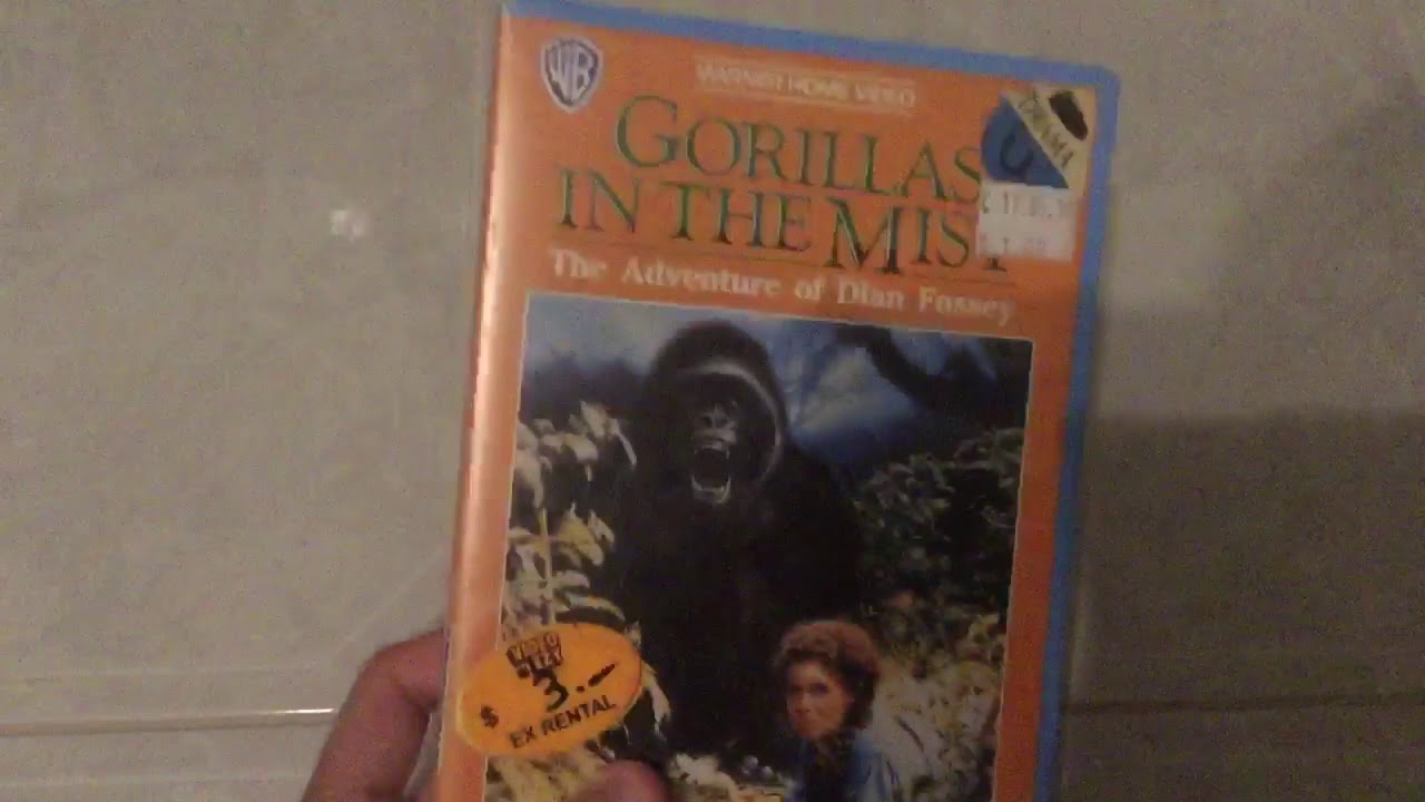 My 1989-1990 VHS Tapes On Collection - YouTube