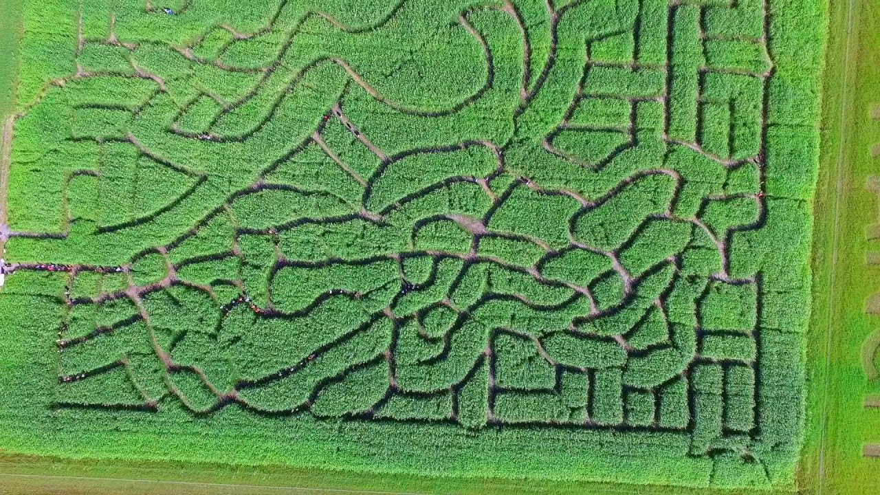 The Corn Maze @ Partin Ranch by Codrone - YouTube