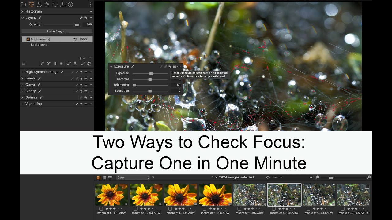 Two Ways to Check Focus: Capture One in One Minute - YouTube