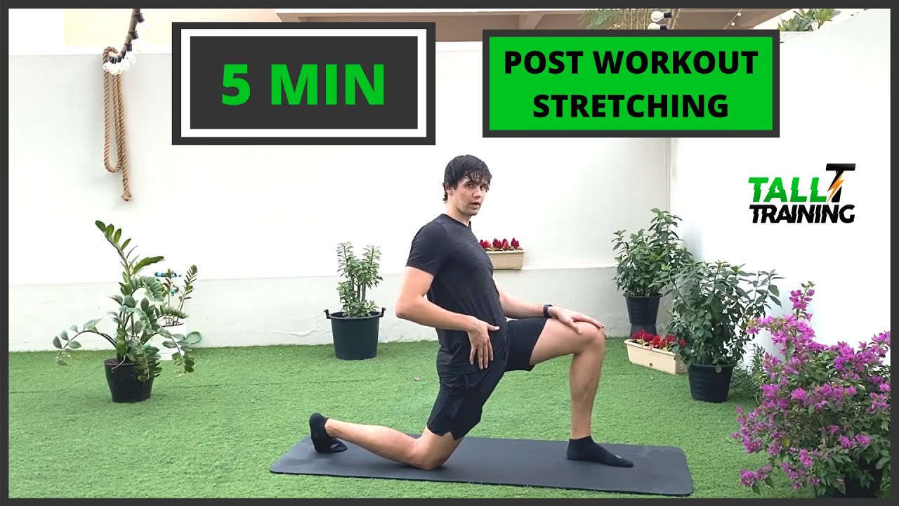 5 MIN POST-WORKOUT STRETCHING: Best Stretches to Relax the Muscles ...