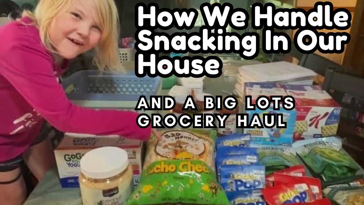 Grocery Haul! How We Handle Snacking In Our House - YouTube