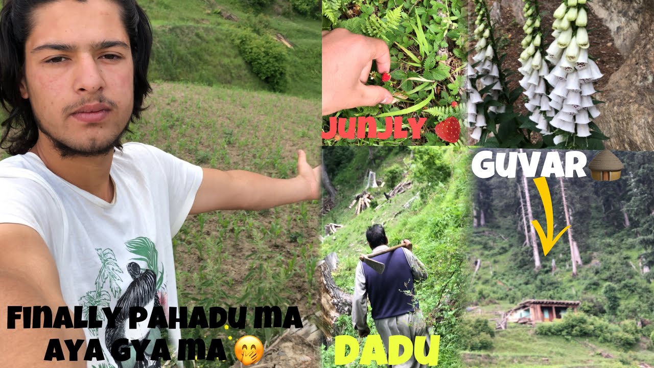 The Hidden Beauty Of Marmet Mangota 🗼#fullenjoyvlog ____#jungle ma mza ...