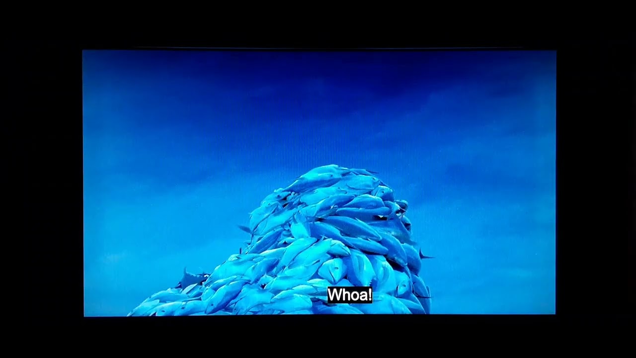 Surf's Up (2007) Mike Looking for Cody Maverick and Found Him (15th ...