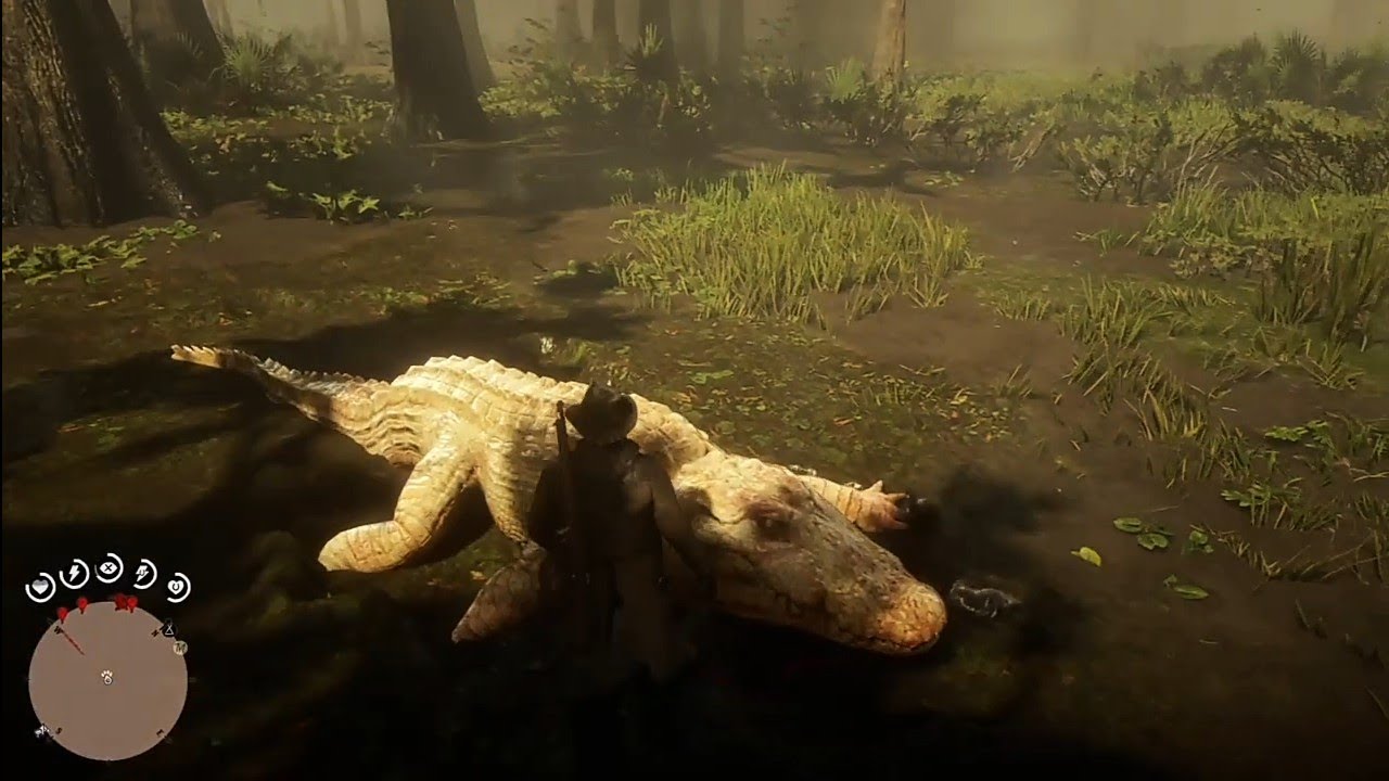 Hunting the Legendary Bull Gator in red dead redemption 2 - YouTube