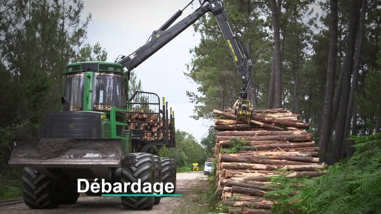 Machines d'exploitation forestière incroyables - YouTube