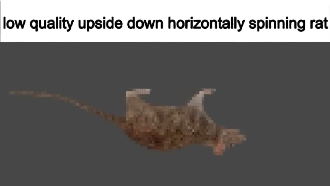 low quality upside down horizontally spinning rat - YouTube