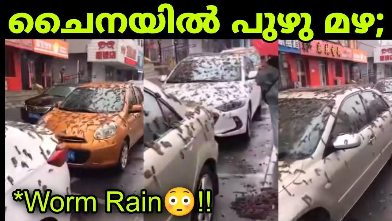 Video Worm Rain In China worm Rain In video-worm-rain-in-china-worm-rain-in