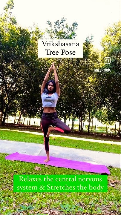 Yoga Asanas For Beginners Mind and Body Balancing #yogaasanas #yogalife #happyhealing #yoga ...